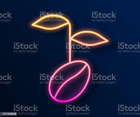 검은 색 배경에 고립 된 빛나는 네온 라인 커피 콩 아이콘 벡터 0명에 대한 스톡 벡터 아트 및 기타 이미지 0명 갈색 곡초류 Istock