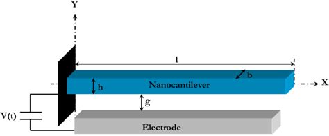 Schema Of An Electrostatically Actuated Nanocantilever Download Scientific Diagram