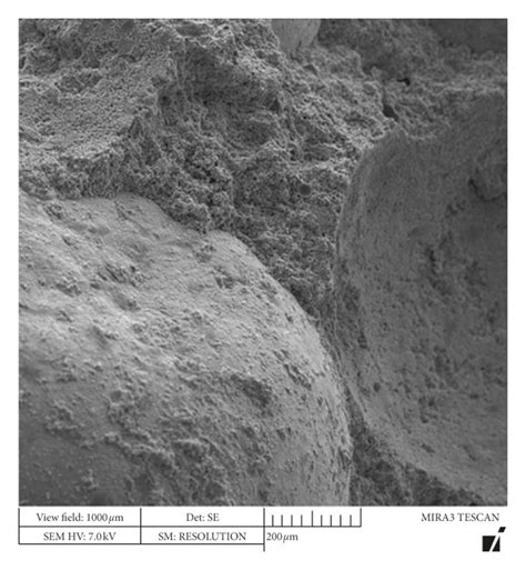 Surface Microstructure Sem Of A Fracture Of A Cement Composite Chip
