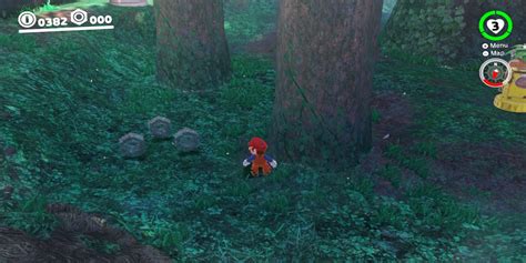 Super Mario Odyssey All Purple Coins In The Wooded Kingdom