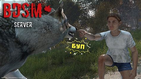 СТРЫМ DAYZ BDSM SERVER ВОСКРЕСНЫЙ КРЫНЖ YouTube