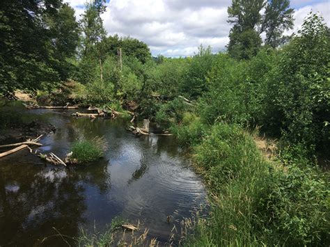 Species Distribution Models For Invasive Species And Natural Resource Managment Blog