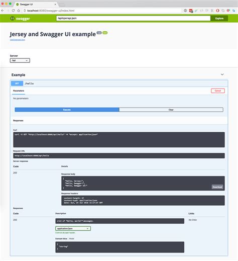 Co Hosting Swagger Ui With Your Jersey Rest Api Using Maven
