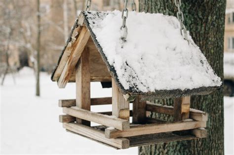 Premium Photo Close Up Of Wooden Birds Feeder On Tree Branch In The Park