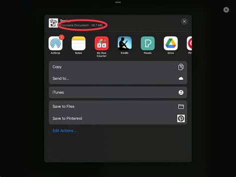 where does procreate save files homeostasis lab