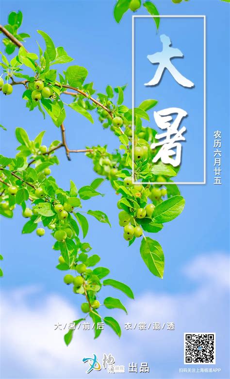 今日大暑：今年夏季的最后一个节气