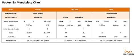 Vocalise Clarinet Mouthpiece By Richard Hawkins And Backun Musical