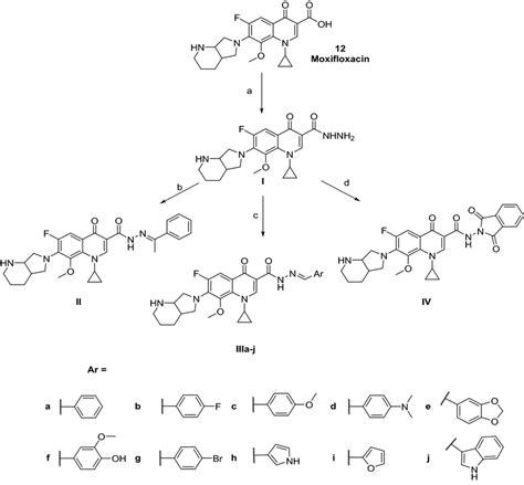 Synthetic Pathway Of Moxifloxacin Derivatives Generated Using Chemdraw Download Scientific
