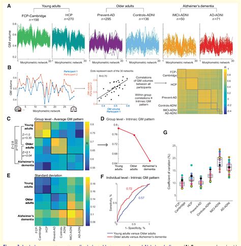 Figure 1 From Morphometric Network Differences In Ageing Versus