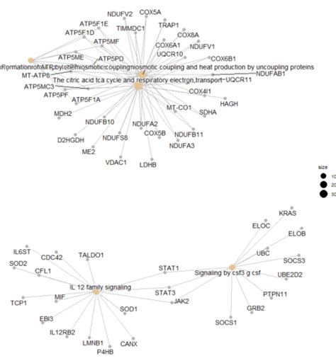 Easy R Tutorial Pathway Enrichment Analysis Plots