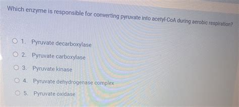 Solved Which Enzyme Is Responsible For Converting Pyruvate