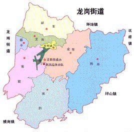 龙岗街道图册 360百科