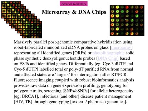 Ppt Microarray For Dummies Powerpoint Presentation Free Download