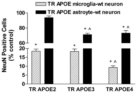 Mouse Cerebral Primary Cocultures Of Tr Apoe Microglia Or Astrocytes Download Scientific