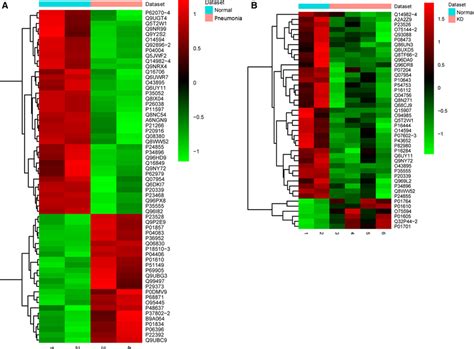 Hierarchical Clustering Analysis Of The Expression Levels Of Deps In Kd Download Scientific