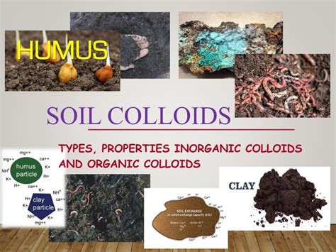 Soil Colloids Ppt