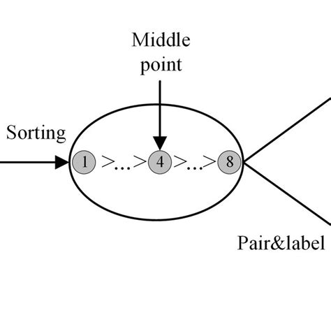 Data Grouping And Label Assignment Download Scientific Diagram