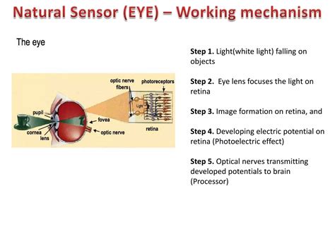 Introduction To Image Processing With MATLAB PPTX Photo Editing Software Computer Software