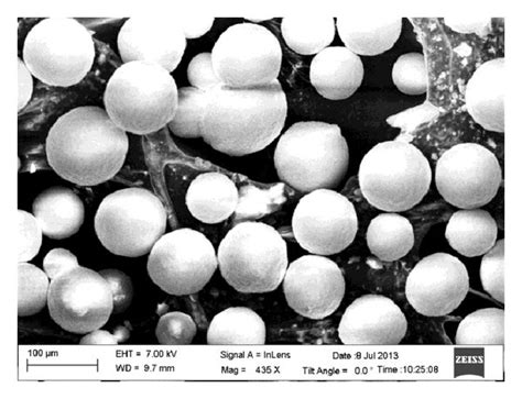 Fesem Micrograph Of Spray Dried Ysz Particles Download Scientific