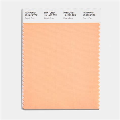 Unpretentious Mocha Mousse Named Pantones Colour Of The Year 2025