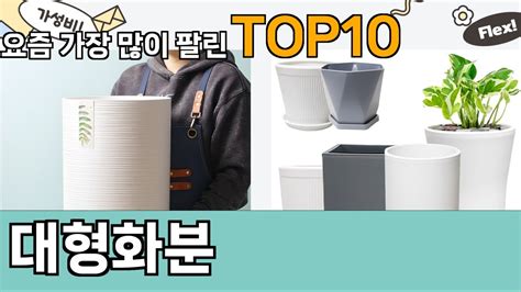 가장 많이 팔린 대형화분 추천 Top10 Youtube