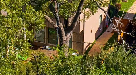 Trees On Power Lines How To Safely Trim Or Remove Them