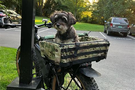 Check Out Class 4 Designs Custom Dogpacking Crate Liner