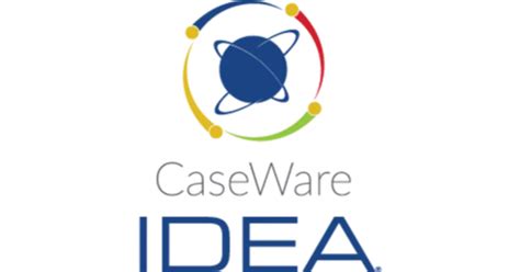 Caseware IDEA Audit Management Software Free Demo Available At Best Price In Mumbai