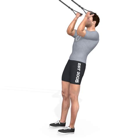 Suspension Trainer Bicep Curl Isometric Video Exercise Guide