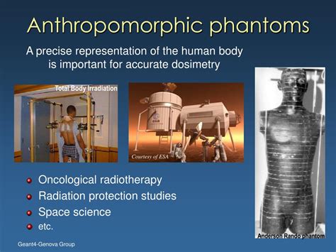 Ppt Anthropomorphic Phantoms Powerpoint Presentation Free Download Id733223
