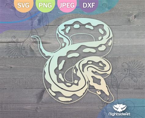 Ball Python Cut Files For Cricut And Silhouette Svg Png  Etsy