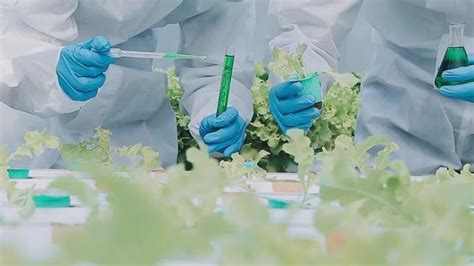 Page 2 Chemical Fertilizer Stock Video Footage For Free Download