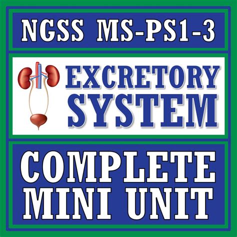 Complete Excretory System Unit Flying Colors Science