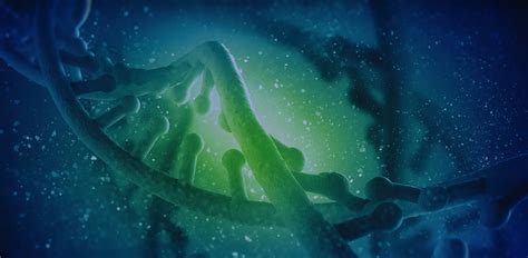 基因编辑服务 服务中心 图维生物医药科技（苏州）有限公司