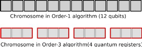 Examples Of Chromosomes Of Length N 12 For Order 1 And Order 3 Download Scientific Diagram