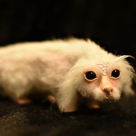 Funny Present Plush Doll Worm From Labyrinth Falkor From The Neverending Story Fuchur Handmade