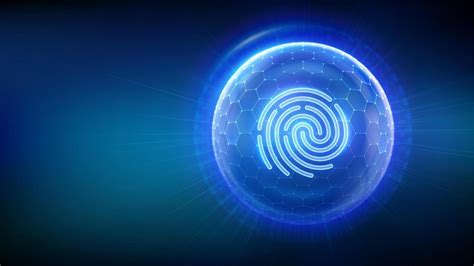 Personal Data Protection Biometrics Identification Cyber Security Password Control