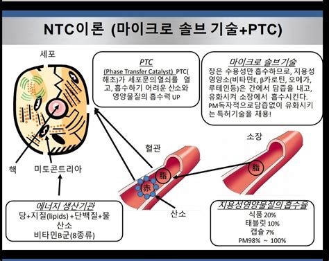 독일 피엠인터내셔널 핏라인 Band