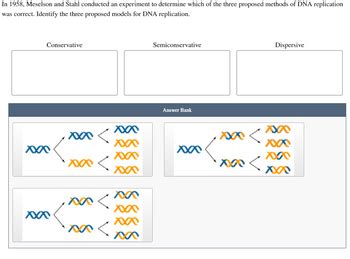 Answered In Meselson And Stahl Conducted An Experiment To