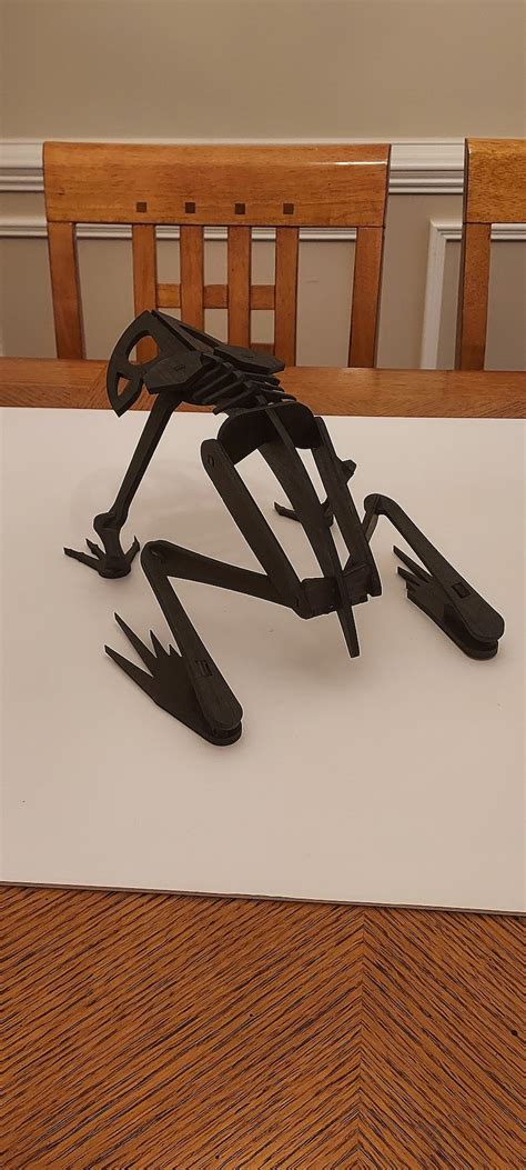 Frog Skeleton Kit Bone Frog Puzzle DIY Gift Etsy