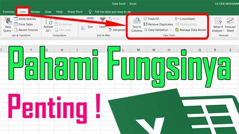 Fungsi Tab Data Excel Youtube