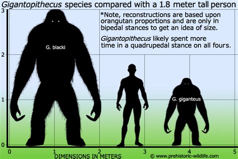 Image Gigantopithecus Size  Ark Survival Evolved Wiki Fandom