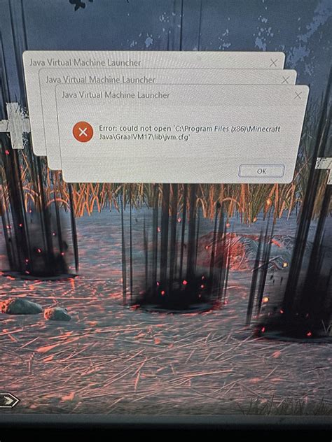 Java Been Trying To Play For A Month Or 2 And Always Get This Error Game Used To Run Fine R