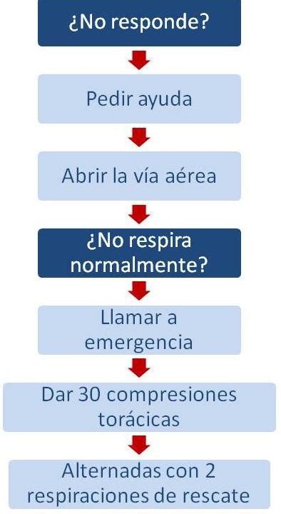 Reanimación Cardiopulmonar Básico Algoritmo de RCP