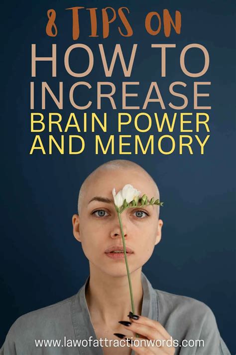 8 Tips On How To Increase Brain Power And Memory