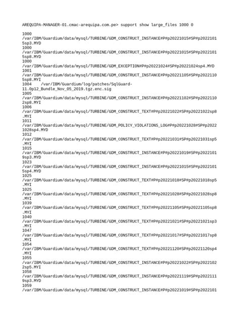 Support Show Large Files 1000 0 Pdf Data Management Databases