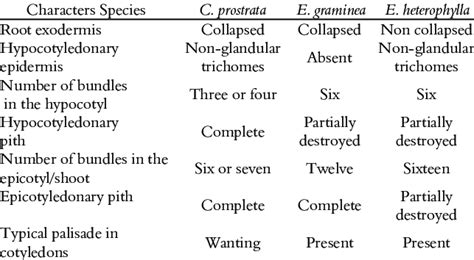 Other Seedling Anatomical Features Potentially Significant For The Download Scientific Diagram