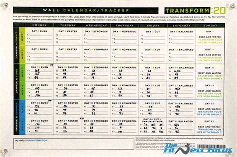 My Transform 20 Step Workout Review Including 6 Week Program Results