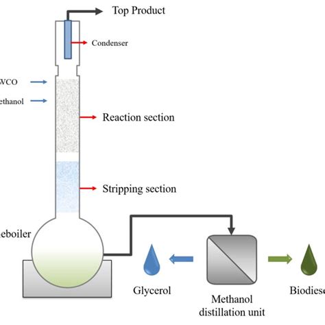 An Overview On Advancements In Biobased Transesterification Methods For Biodiesel Production