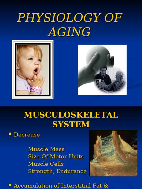 Physiology Of Aging Ii Pdf Human Musculoskeletal System Osteoporosis